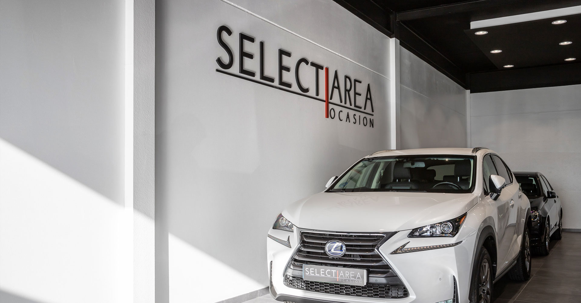 INICIO - SELECT ÁREA